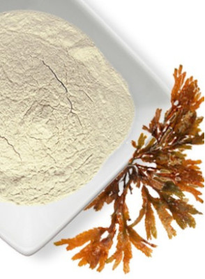 Sodium Alginate (Ultra-Fine 170Mesh, 200-400cps, Medium Strength)