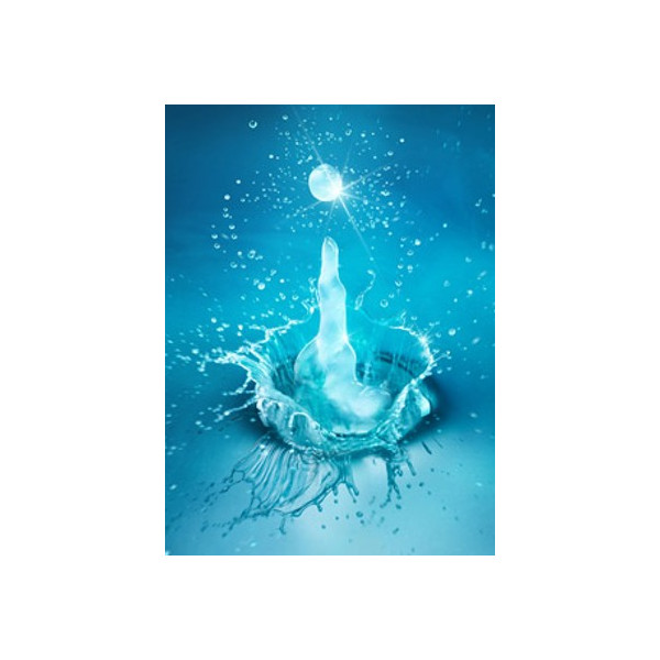 Plankton Artemia Extract Plankton Extract