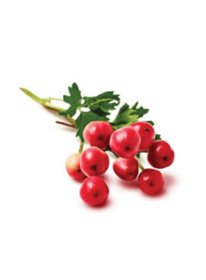 Fresh Hawthorn Flavor (Water Soluble Powder)
