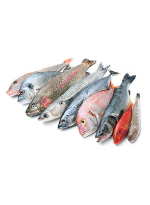 Fish Flavor (Water Soluble Powder)