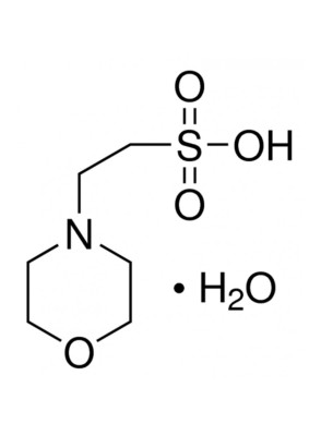 MES.H2O, 2-(N-morpholino)ethanesulfonic acid monohydrate