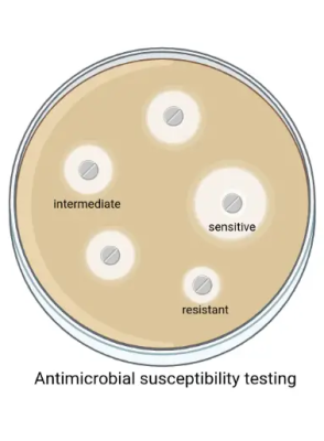 Anti-microbial test for Propionibacterium Acnes