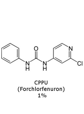 CPPU (Forchlorfenuron) (1% Water Soluble)