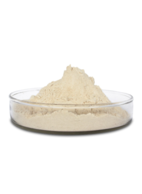Lipase Enzyme (50,000U/g)