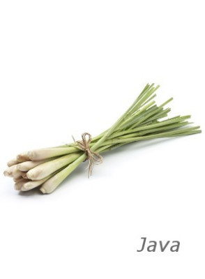 citronella oil (java)