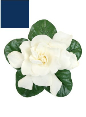 Gardenia Blue Pigment Blue from Gardenia (powder)