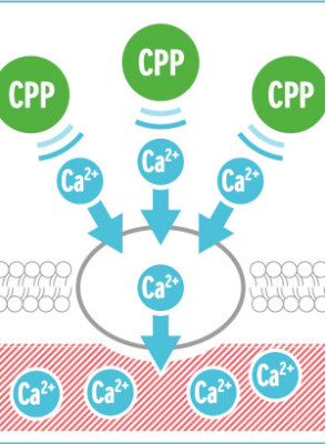 Casein phosphopeptide (CPP)