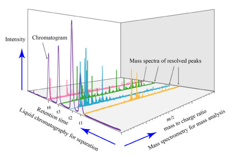 LC/MS/MS (Quadrupole Time-of-Flight) Analysis Service